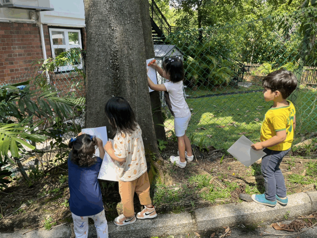 The Rain Trees approach is a breath of fresh air | Rain Trees ...
